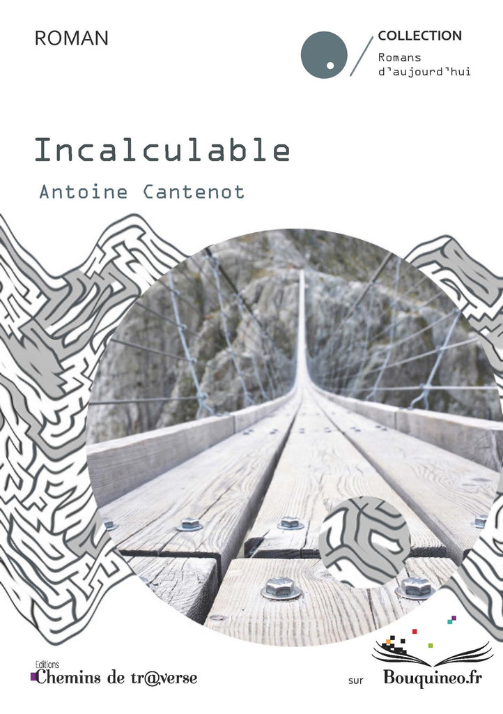 Incalculable, d'Antoine Cantenot - Roman – Bouquineo